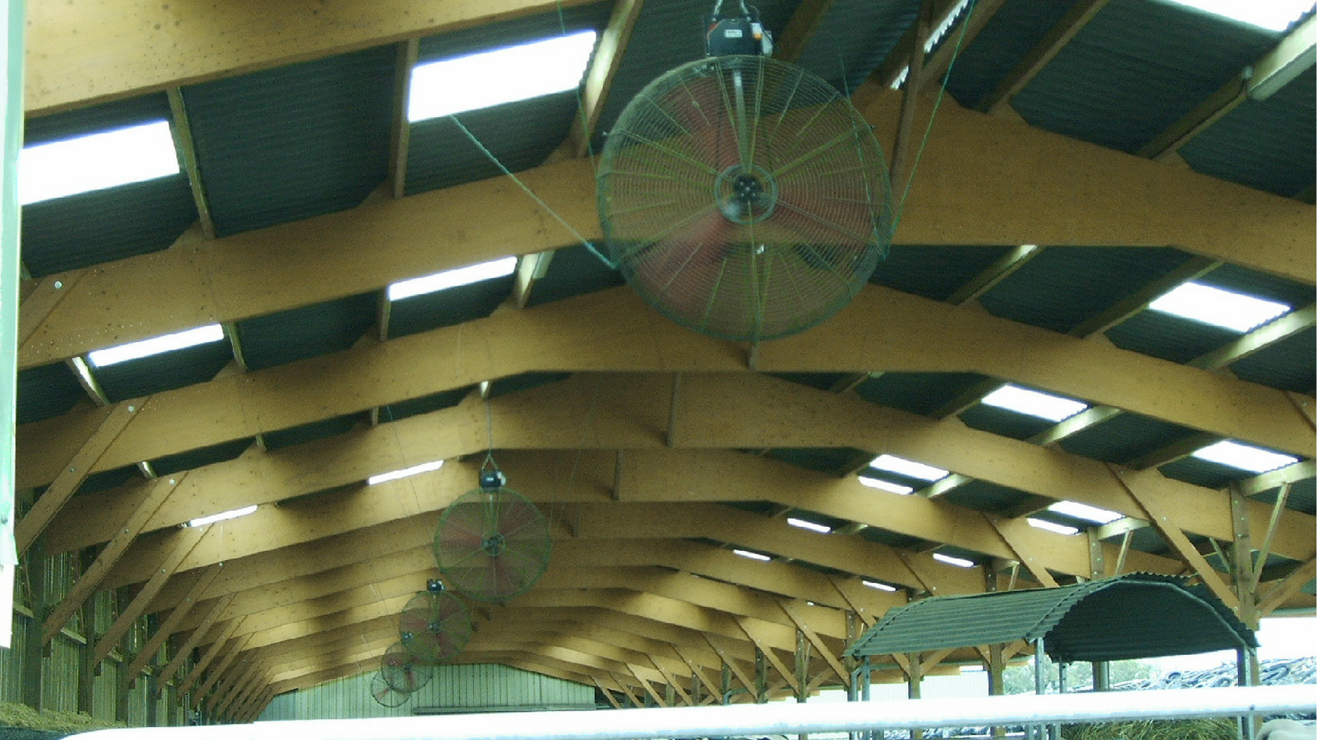 Équipements de gestion d'ambiance pour porcs | Contrôle climatique et ventilation